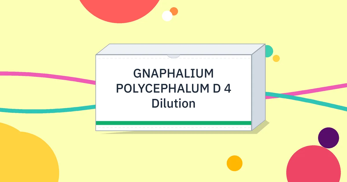 Symbolbild: Packung mit der Aufschrift GNAPHALIUM POLYCEPHALUM D 4 Dilution (PZN 02116793) – Verfügbarkeit und Bezug in Apotheken in Frankfurt am Main