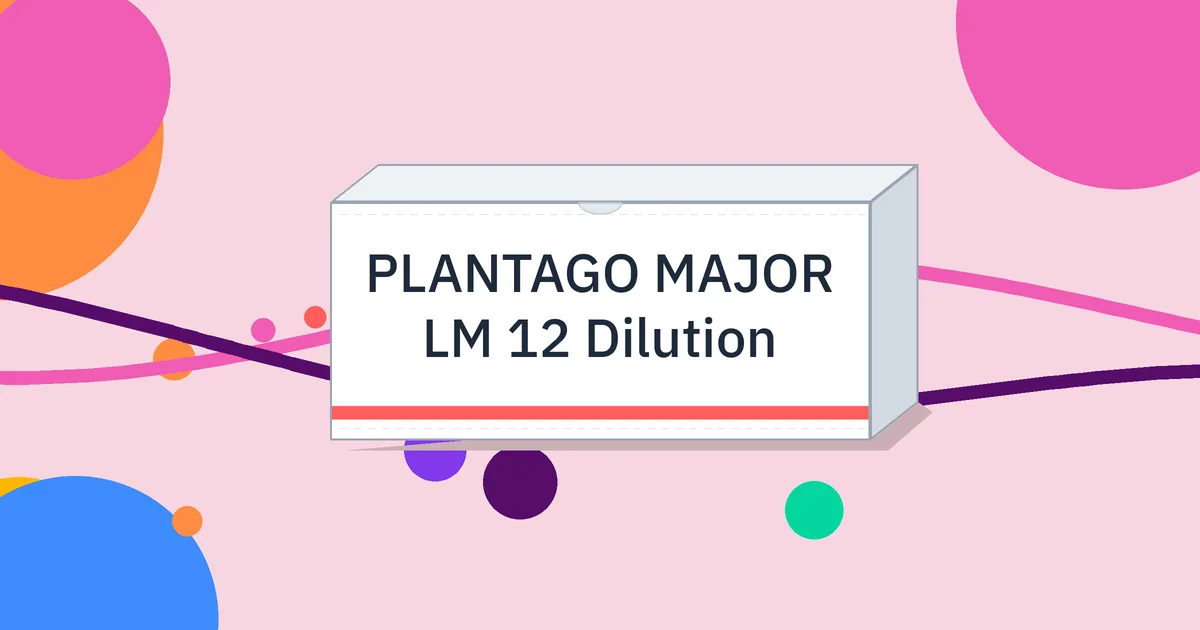 Symbolbild: Packung mit der Aufschrift PLANTAGO MAJOR LM 12 Dilution (PZN 13646703) – Verfügbarkeit und Bezug in Apotheken in Frankfurt am Main