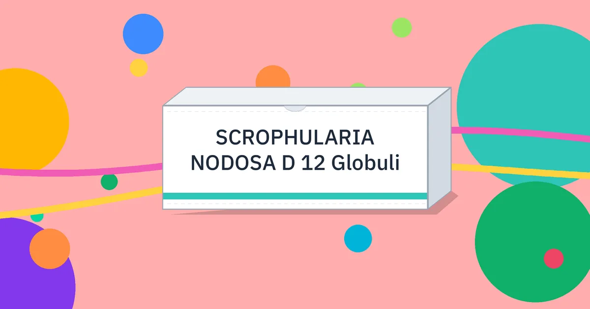 Symbolbild: Packung mit der Aufschrift SCROPHULARIA NODOSA D 12 Globuli (PZN 00909207) – Verfügbarkeit und Bezug in Apotheken in Frankfurt am Main