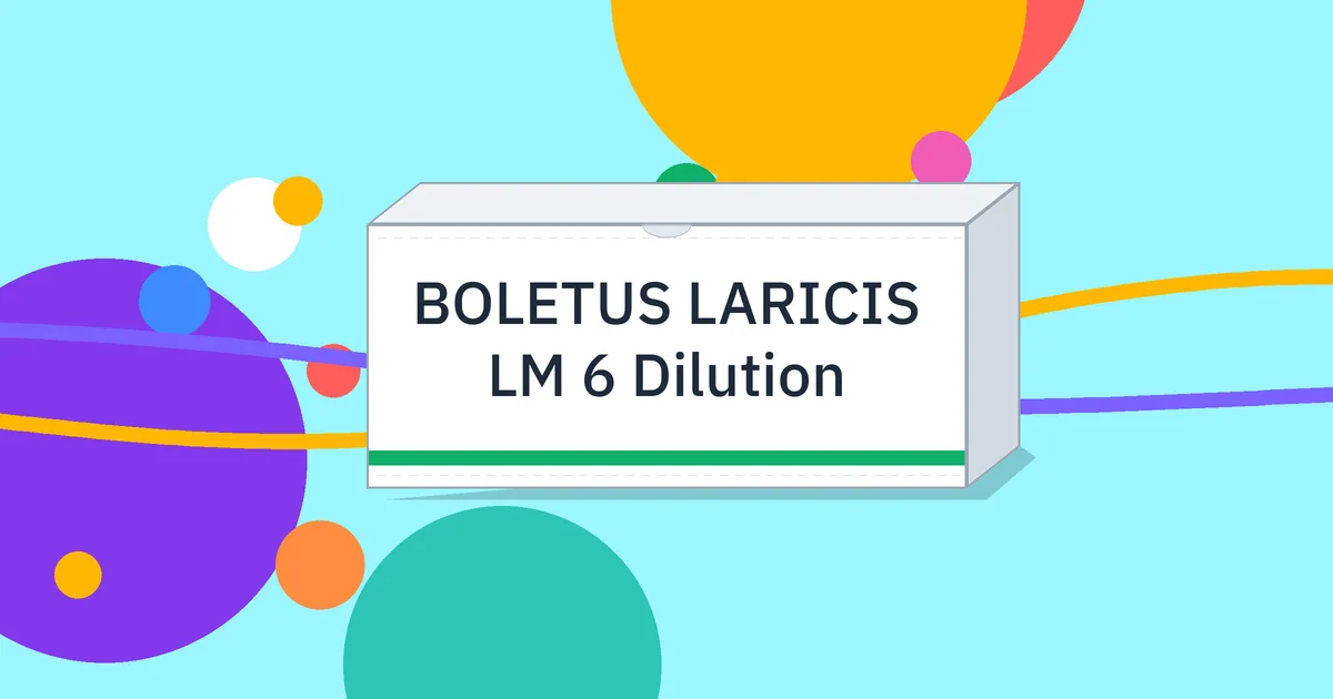 Symbolbild: Packung mit der Aufschrift BOLETUS LARICIS LM 6 Dilution (PZN 13391108) – Verfügbarkeit und Bezug in Apotheken in Frankfurt am Main