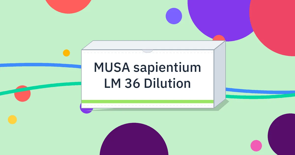 Symbolbild: Packung mit der Aufschrift MUSA sapientium LM 36 Dilution (PZN 13611917) – Verfügbarkeit und Bezug in Apotheken in Frankfurt am Main