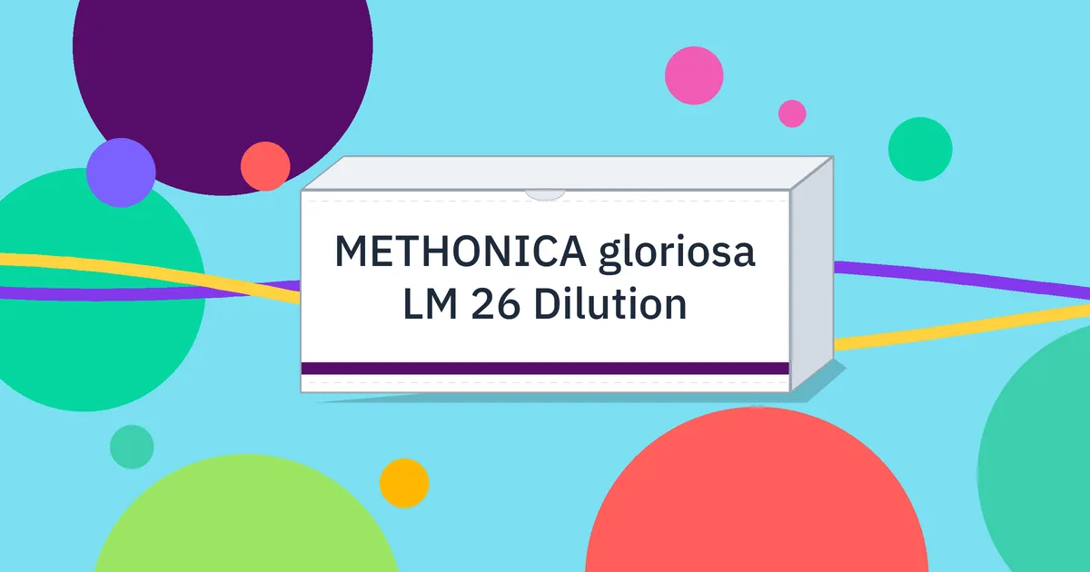 Symbolbild: Packung mit der Aufschrift METHONICA gloriosa LM 26 Dilution (PZN 13606721) – Verfügbarkeit und Bezug in Apotheken in Frankfurt am Main