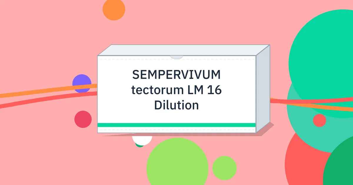 Symbolbild: Packung mit der Aufschrift SEMPERVIVUM tectorum LM 16 Dilution (PZN 13186242) – Verfügbarkeit und Bezug in Apotheken in Frankfurt am Main