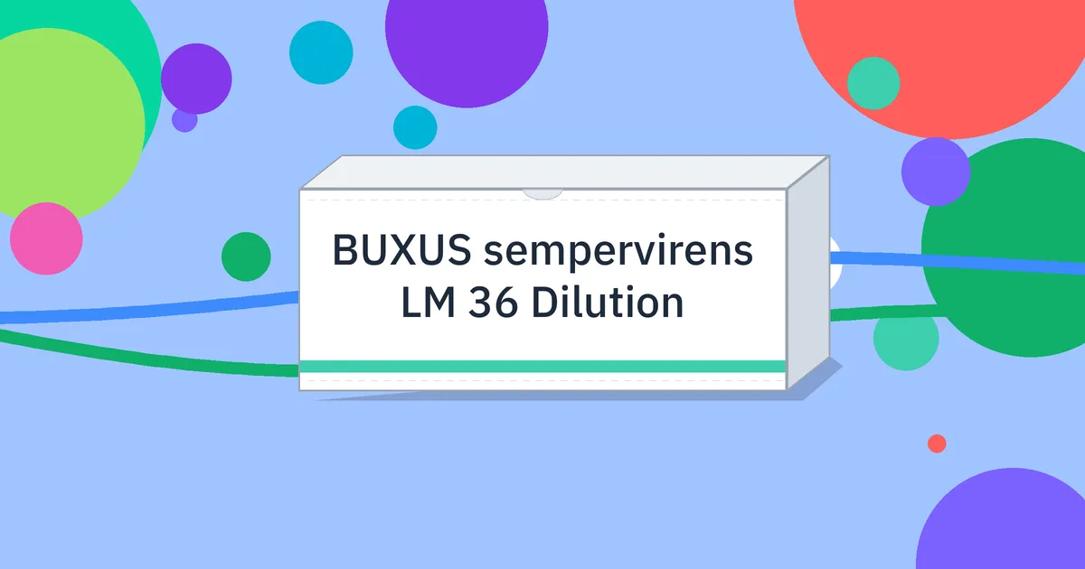 Symbolbild: Packung mit der Aufschrift BUXUS sempervirens LM 36 Dilution (PZN 13399682) – Verfügbarkeit und Bezug in Apotheken in Frankfurt am Main