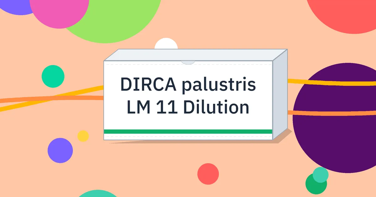 Symbolbild: Packung mit der Aufschrift DIRCA palustris LM 11 Dilution (PZN 13465628) – Verfügbarkeit und Bezug in Apotheken in Frankfurt am Main