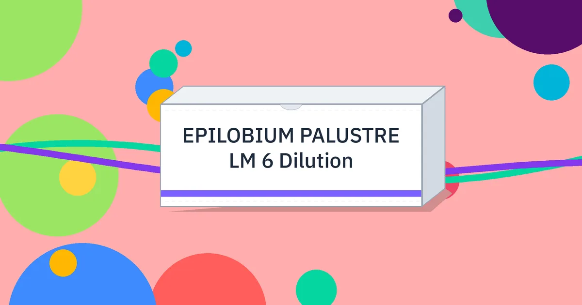 Symbolbild: Packung mit der Aufschrift EPILOBIUM PALUSTRE LM 6 Dilution (PZN 13472019) – Verfügbarkeit und Bezug in Apotheken in Frankfurt am Main