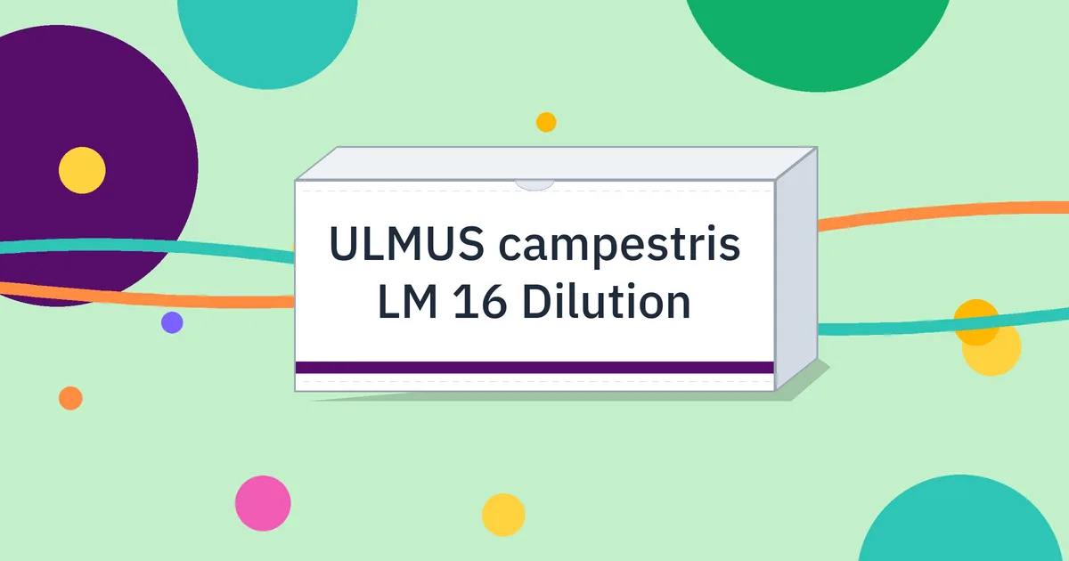 Symbolbild: Packung mit der Aufschrift ULMUS campestris LM 16 Dilution (PZN 13255345) – Verfügbarkeit und Bezug in Apotheken in Frankfurt am Main