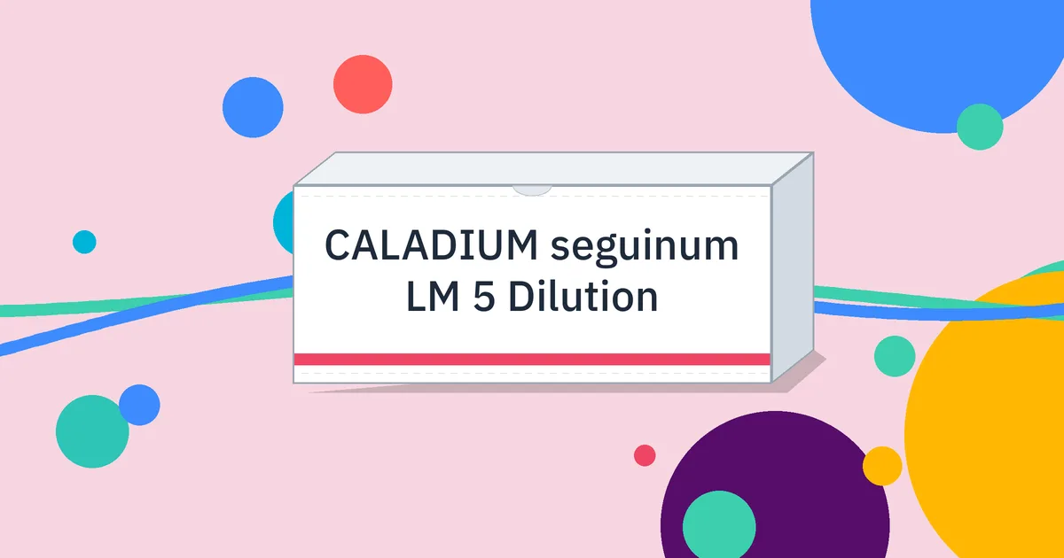 Symbolbild: Packung mit der Aufschrift CALADIUM seguinum LM 5 Dilution (PZN 13403679) – Verfügbarkeit und Bezug in Apotheken in Frankfurt am Main