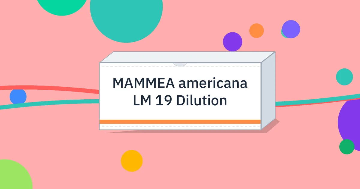 Symbolbild: Packung mit der Aufschrift MAMMEA americana LM 19 Dilution (PZN 13540413) – Verfügbarkeit und Bezug in Apotheken in Frankfurt am Main