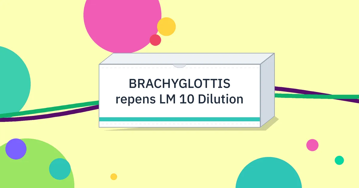 Symbolbild: Packung mit der Aufschrift BRACHYGLOTTIS repens LM 10 Dilution (PZN 13394816) – Verfügbarkeit und Bezug in Apotheken in Frankfurt am Main