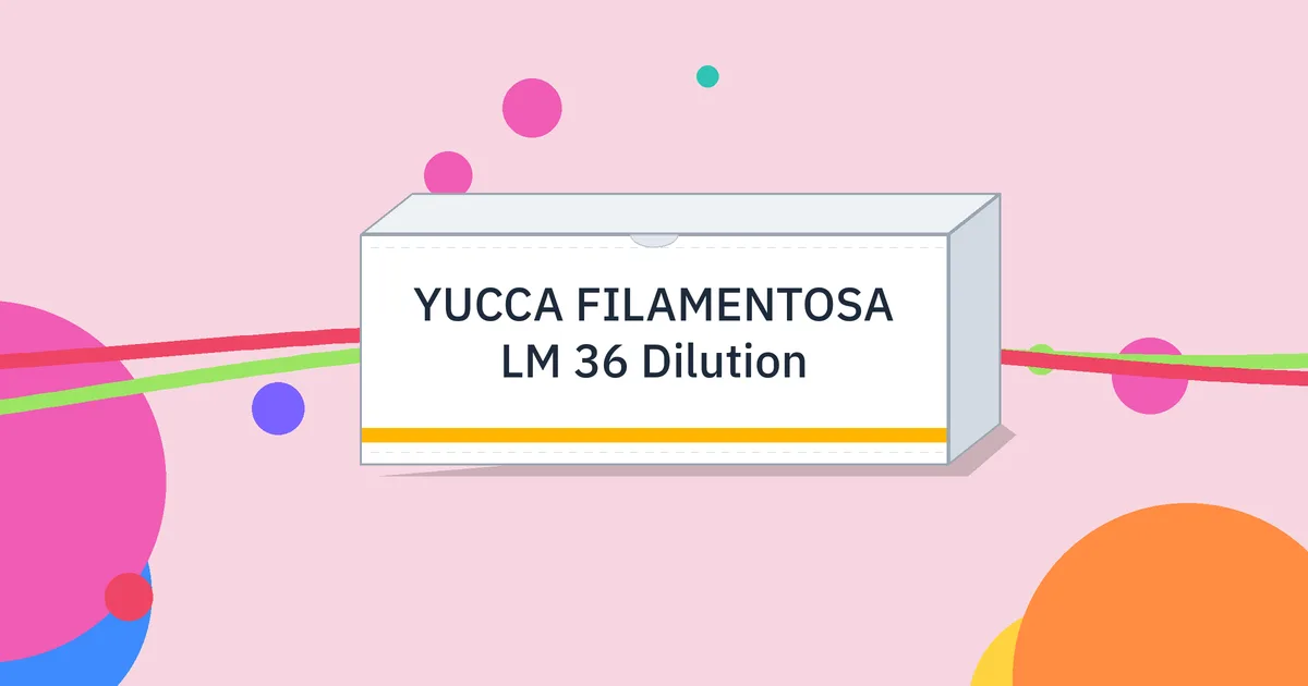 Symbolbild: Packung mit der Aufschrift YUCCA FILAMENTOSA LM 36 Dilution (PZN 13289137) – Verfügbarkeit und Bezug in Apotheken in Frankfurt am Main