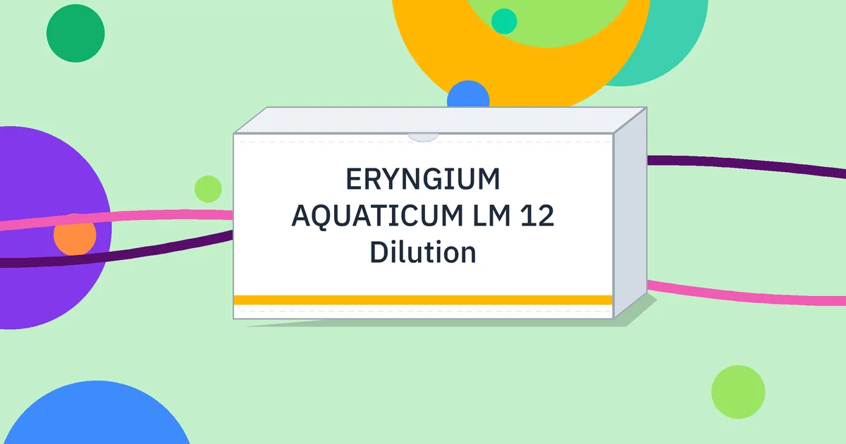 Symbolbild: Packung mit der Aufschrift ERYNGIUM AQUATICUM LM 12 Dilution (PZN 13478571) – Verfügbarkeit und Bezug in Apotheken in Frankfurt am Main