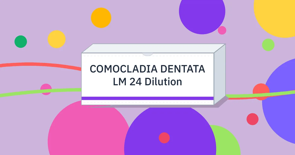Symbolbild: Packung mit der Aufschrift COMOCLADIA DENTATA LM 24 Dilution (PZN 13449380) – Verfügbarkeit und Bezug in Apotheken in Frankfurt am Main