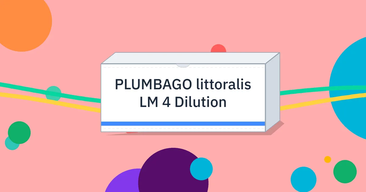 Symbolbild: Packung mit der Aufschrift PLUMBAGO littoralis LM 4 Dilution (PZN 13648889) – Verfügbarkeit und Bezug in Apotheken in Frankfurt am Main