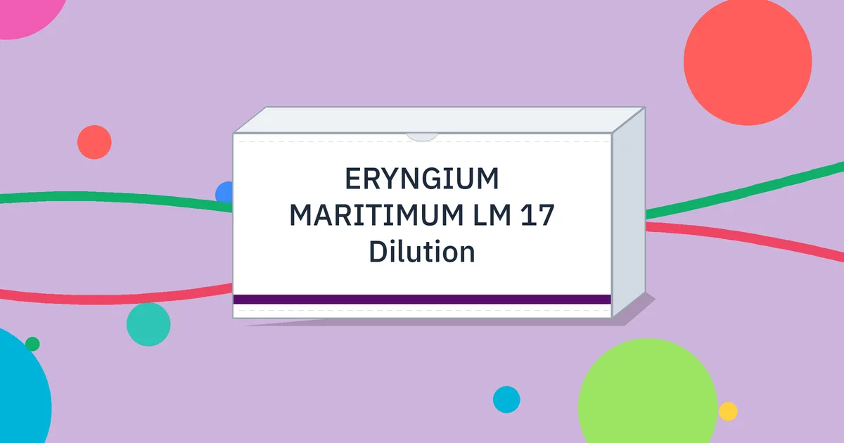 Symbolbild: Packung mit der Aufschrift ERYNGIUM MARITIMUM LM 17 Dilution (PZN 13479079) – Verfügbarkeit und Bezug in Apotheken in Frankfurt am Main