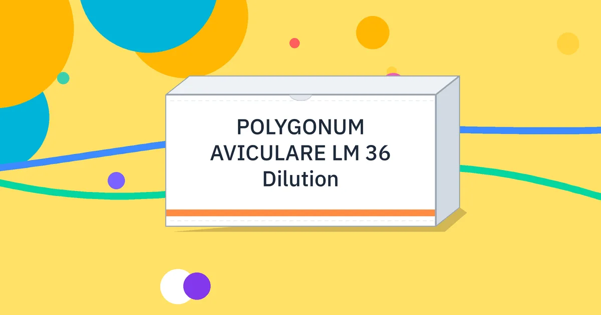 Symbolbild: Packung mit der Aufschrift POLYGONUM AVICULARE LM 36 Dilution (PZN 13662174) – Verfügbarkeit und Bezug in Apotheken in Frankfurt am Main