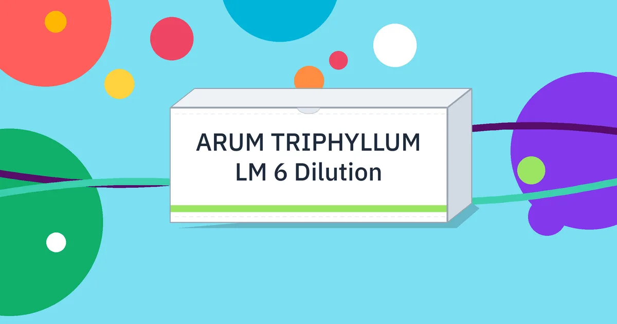 Symbolbild: Packung mit der Aufschrift ARUM TRIPHYLLUM LM 6 Dilution (PZN 08463886) – Verfügbarkeit und Bezug in Apotheken in Frankfurt am Main