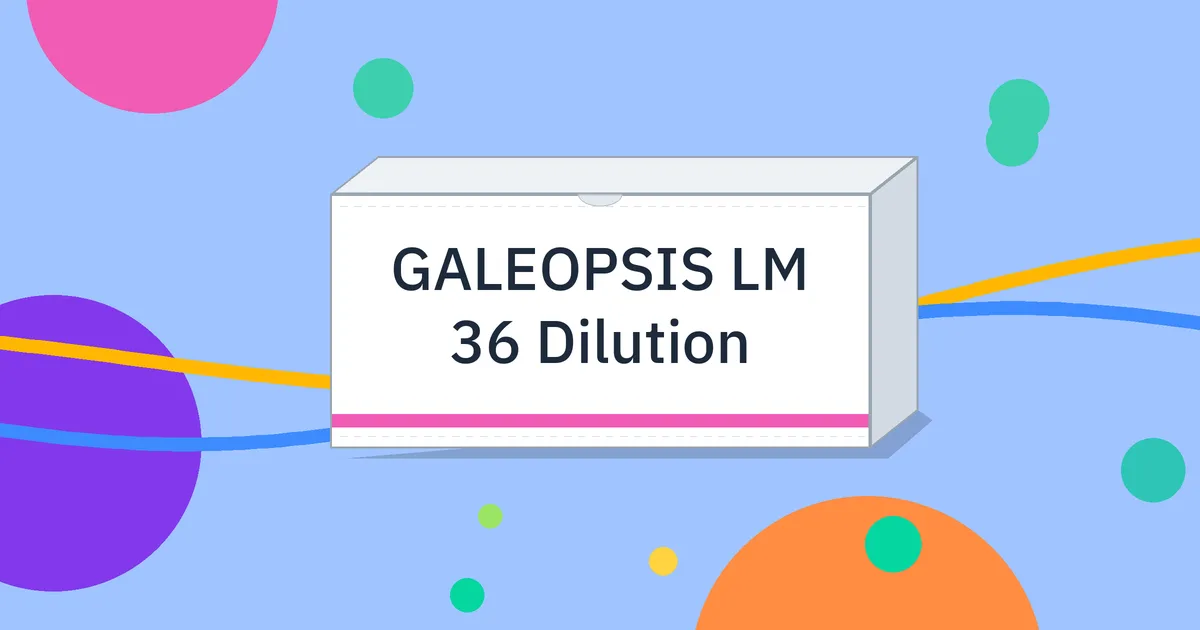 Symbolbild: Packung mit der Aufschrift GALEOPSIS LM 36 Dilution (PZN 13496445) – Verfügbarkeit und Bezug in Apotheken in Frankfurt am Main