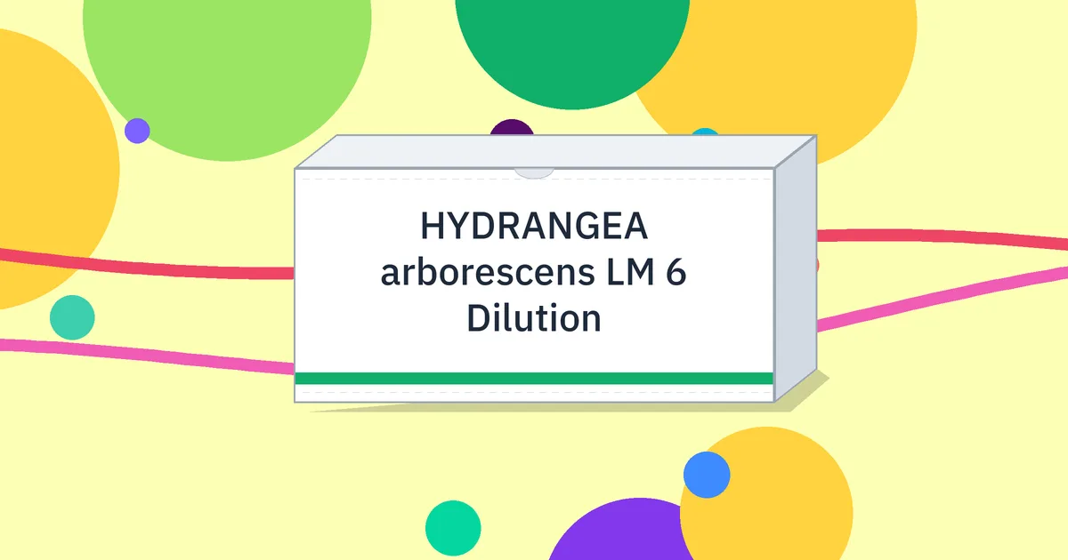 Symbolbild: Packung mit der Aufschrift HYDRANGEA arborescens LM 6 Dilution (PZN 13556213) – Verfügbarkeit und Bezug in Apotheken in Frankfurt am Main