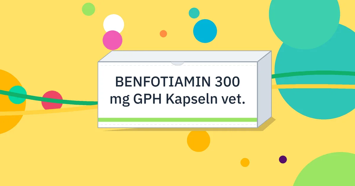 Symbolbild: Packung mit der Aufschrift BENFOTIAMIN 300 mg GPH Kapseln vet. (PZN 19248398) – Verfügbarkeit und Bezug in Apotheken in Frankfurt am Main