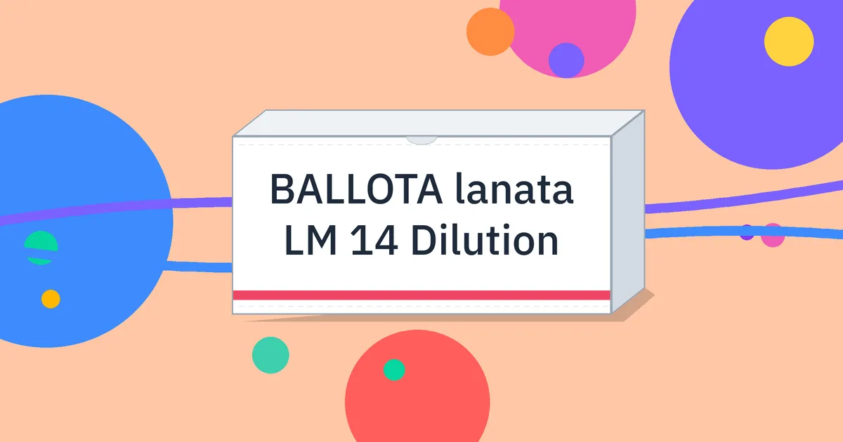 Symbolbild: Packung mit der Aufschrift BALLOTA lanata LM 14 Dilution (PZN 13373984) – Verfügbarkeit und Bezug in Apotheken in Frankfurt am Main
