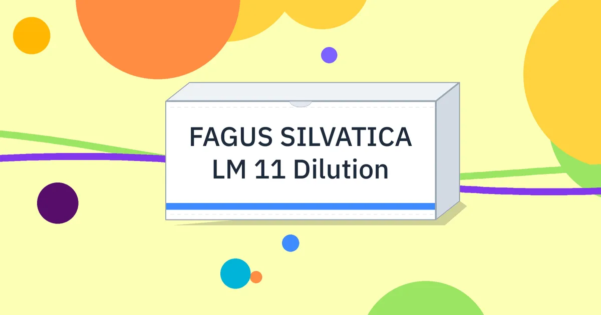 Symbolbild: Packung mit der Aufschrift FAGUS SILVATICA LM 11 Dilution (PZN 13486949) – Verfügbarkeit und Bezug in Apotheken in Frankfurt am Main