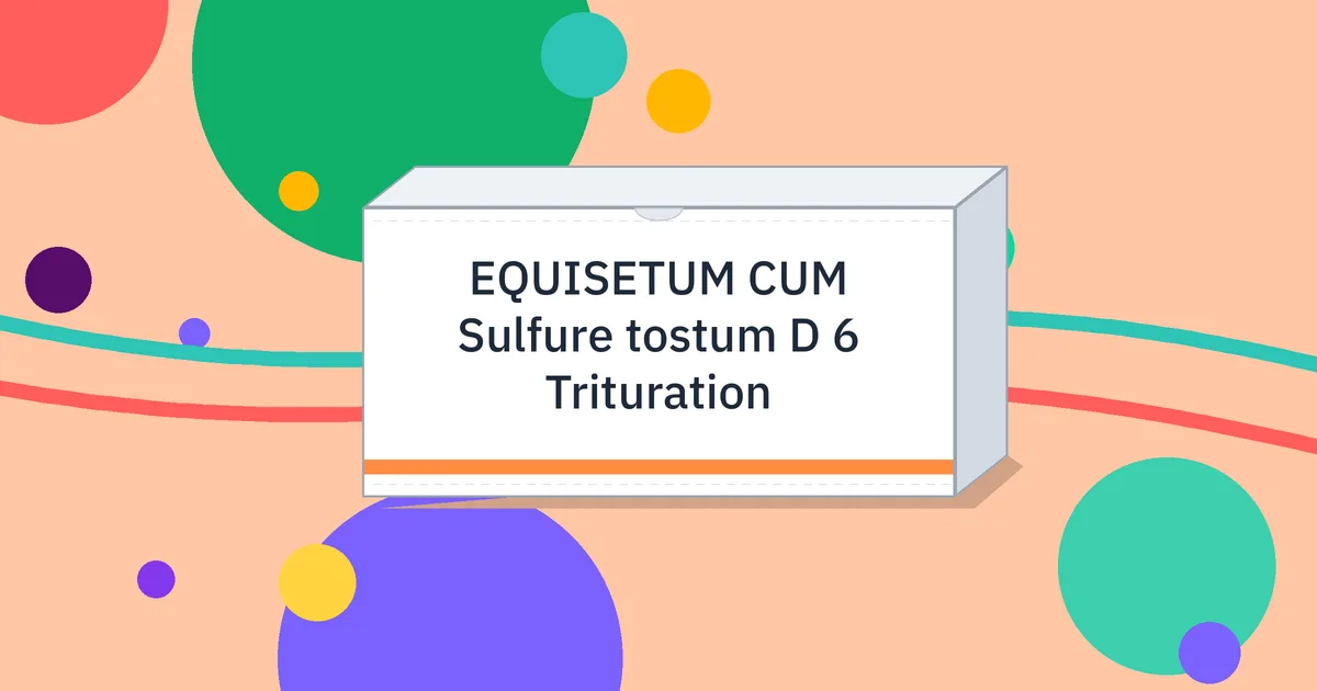 Symbolbild: Packung mit der Aufschrift EQUISETUM CUM Sulfure tostum D 6 Trituration (PZN 01616111) – Verfügbarkeit und Bezug in Apotheken in Frankfurt am Main