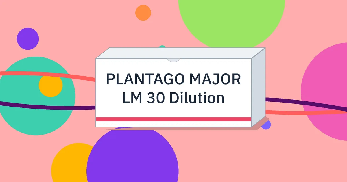 Symbolbild: Packung mit der Aufschrift PLANTAGO MAJOR LM 30 Dilution (PZN 13646927) – Verfügbarkeit und Bezug in Apotheken in Frankfurt am Main