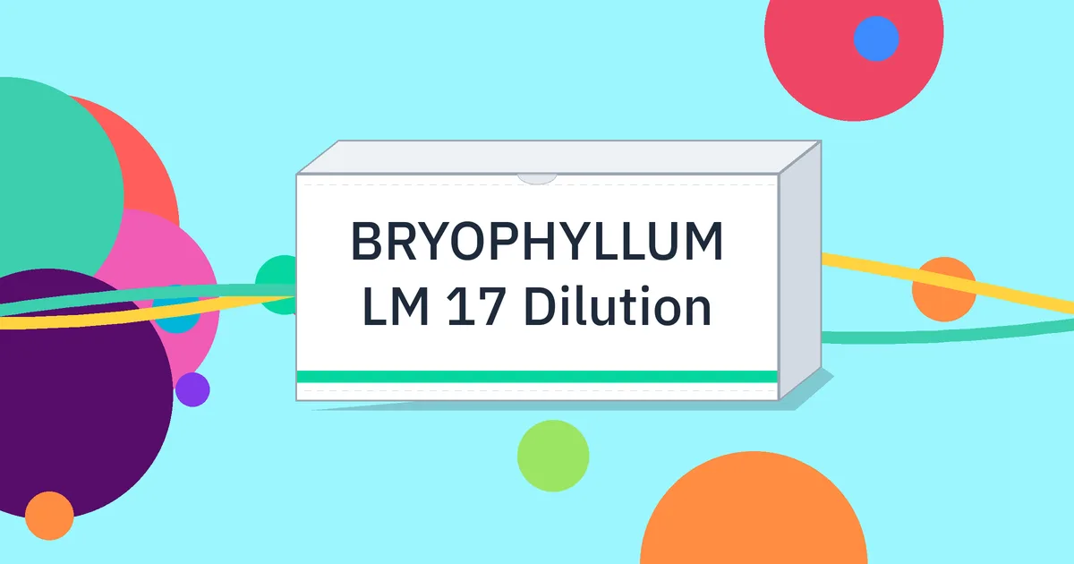 Symbolbild: Packung mit der Aufschrift BRYOPHYLLUM LM 17 Dilution (PZN 13397499) – Verfügbarkeit und Bezug in Apotheken in Frankfurt am Main