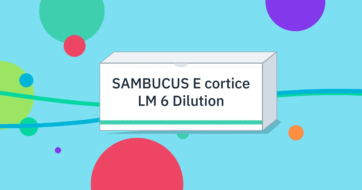 Symbolbild: Packung mit der Aufschrift SAMBUCUS E cortice LM 6 Dilution (PZN 13179905) – Verfügbarkeit und Bezug in Apotheken in Frankfurt am Main