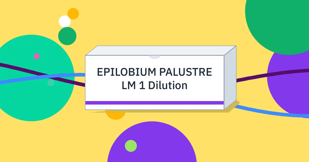 Symbolbild: Packung mit der Aufschrift EPILOBIUM PALUSTRE LM 1 Dilution (PZN 13471959) – Verfügbarkeit und Bezug in Apotheken in Frankfurt am Main