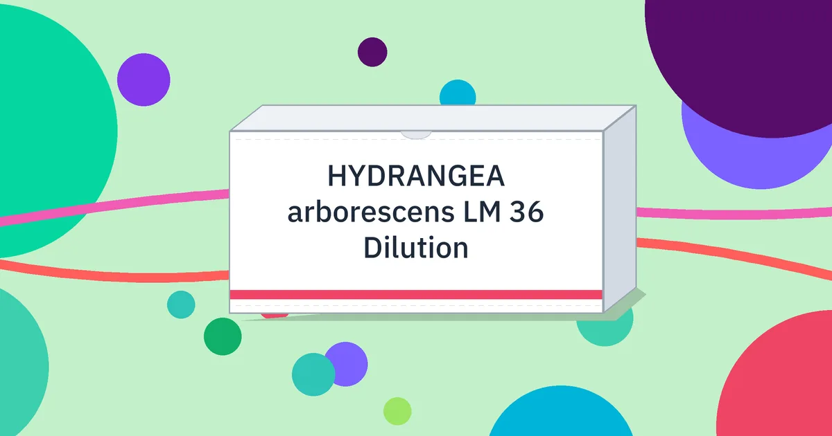 Symbolbild: Packung mit der Aufschrift HYDRANGEA arborescens LM 36 Dilution (PZN 13556555) – Verfügbarkeit und Bezug in Apotheken in Frankfurt am Main