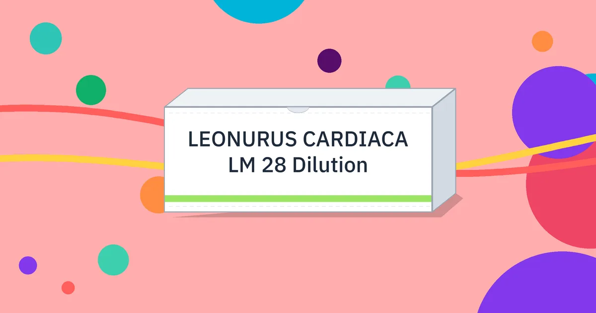 Symbolbild: Packung mit der Aufschrift LEONURUS CARDIACA LM 28 Dilution (PZN 13526086) – Verfügbarkeit und Bezug in Apotheken in Frankfurt am Main