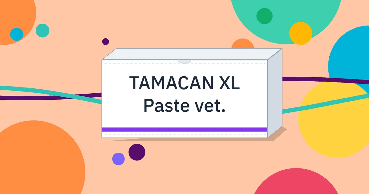 Symbolbild: Packung mit der Aufschrift TAMACAN XL Paste vet. (PZN 19845378) – Verfügbarkeit und Bezug in Apotheken in Frankfurt am Main