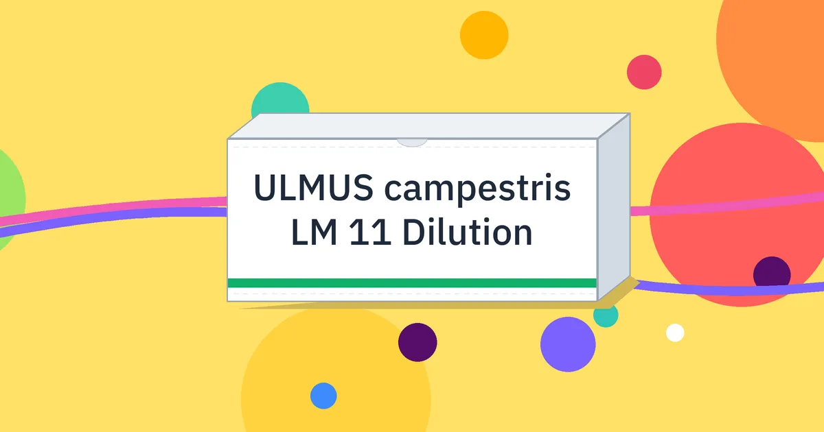Symbolbild: Packung mit der Aufschrift ULMUS campestris LM 11 Dilution (PZN 13255285) – Verfügbarkeit und Bezug in Apotheken in Frankfurt am Main