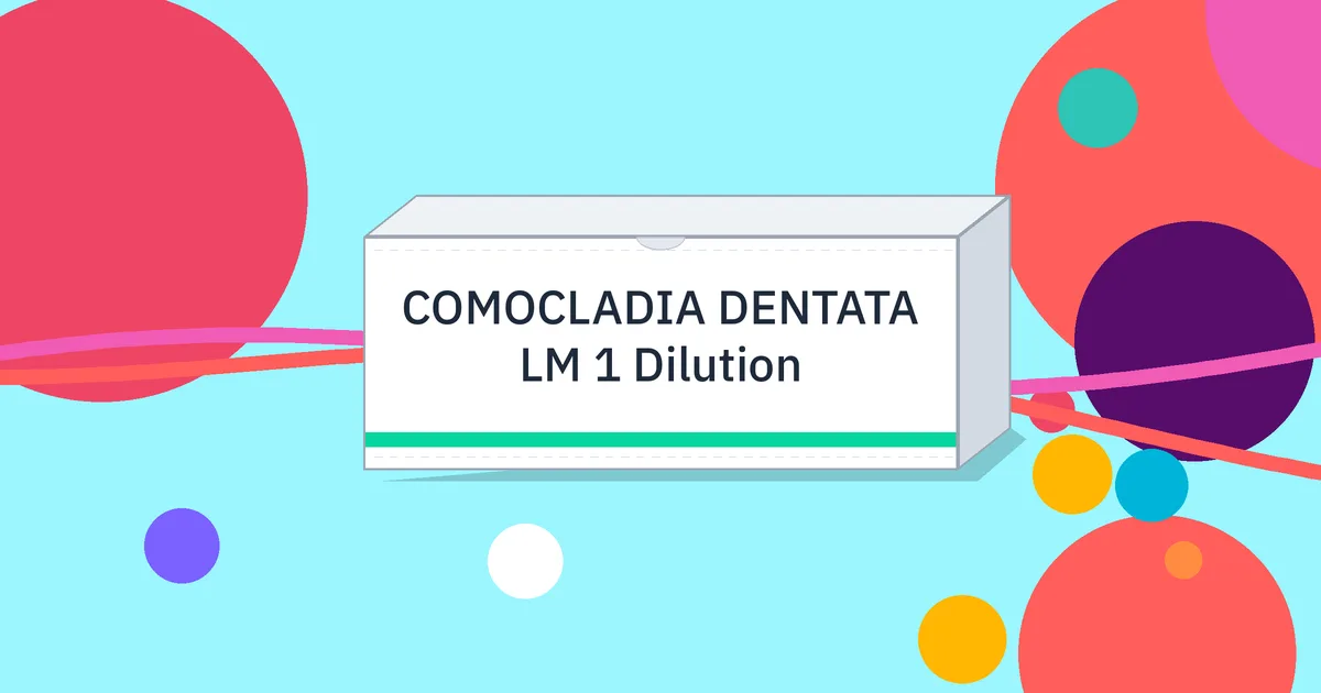 Symbolbild: Packung mit der Aufschrift COMOCLADIA DENTATA LM 1 Dilution (PZN 13449090) – Verfügbarkeit und Bezug in Apotheken in Frankfurt am Main