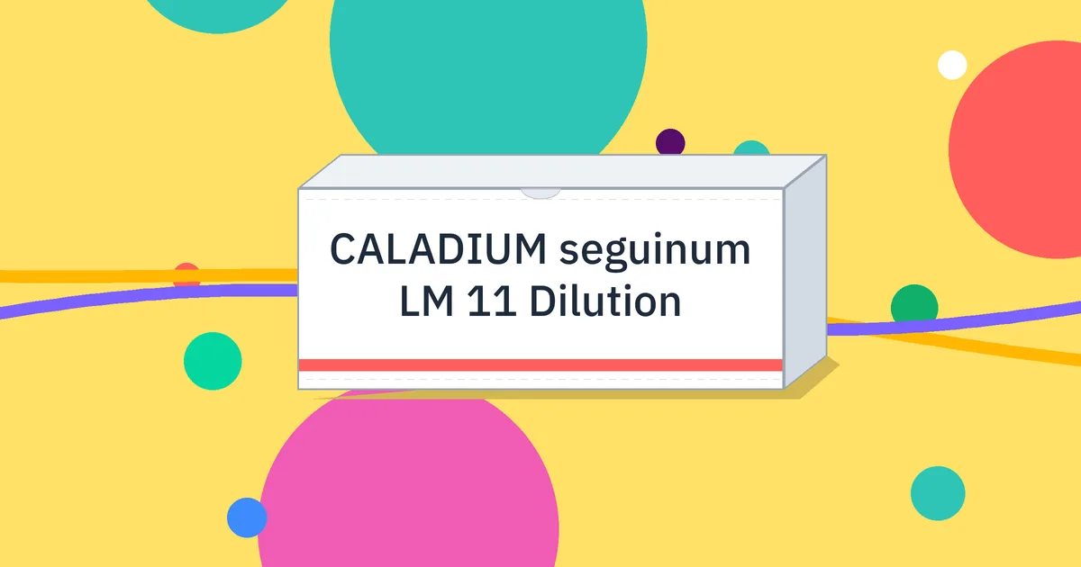 Symbolbild: Packung mit der Aufschrift CALADIUM seguinum LM 11 Dilution (PZN 13403857) – Verfügbarkeit und Bezug in Apotheken in Frankfurt am Main