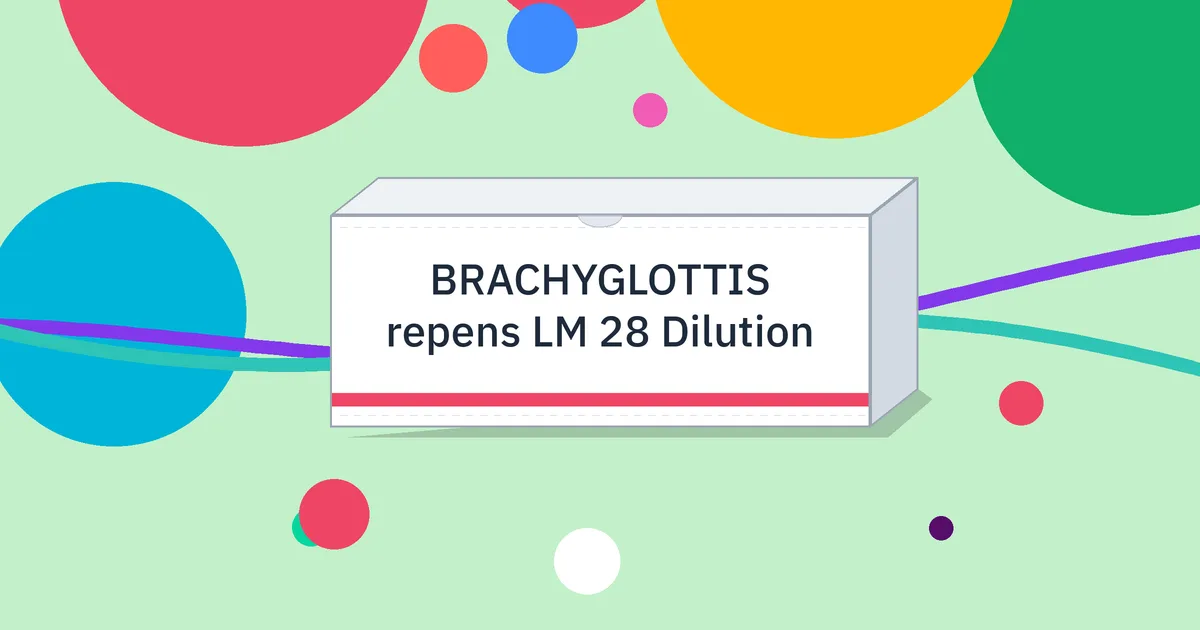 Symbolbild: Packung mit der Aufschrift BRACHYGLOTTIS repens LM 28 Dilution (PZN 13395276) – Verfügbarkeit und Bezug in Apotheken in Frankfurt am Main