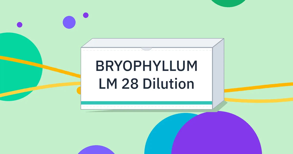 Symbolbild: Packung mit der Aufschrift BRYOPHYLLUM LM 28 Dilution (PZN 13397766) – Verfügbarkeit und Bezug in Apotheken in Frankfurt am Main