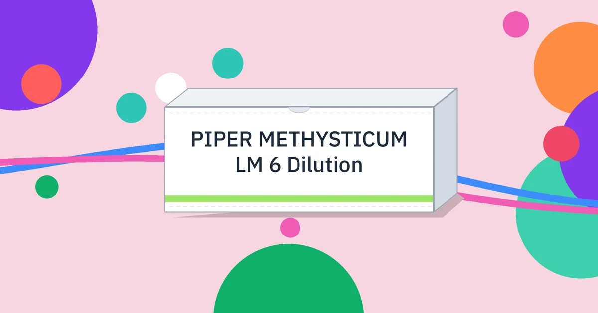 Symbolbild: Packung mit der Aufschrift PIPER METHYSTICUM LM 6 Dilution (PZN 13643337) – Verfügbarkeit und Bezug in Apotheken in Frankfurt am Main