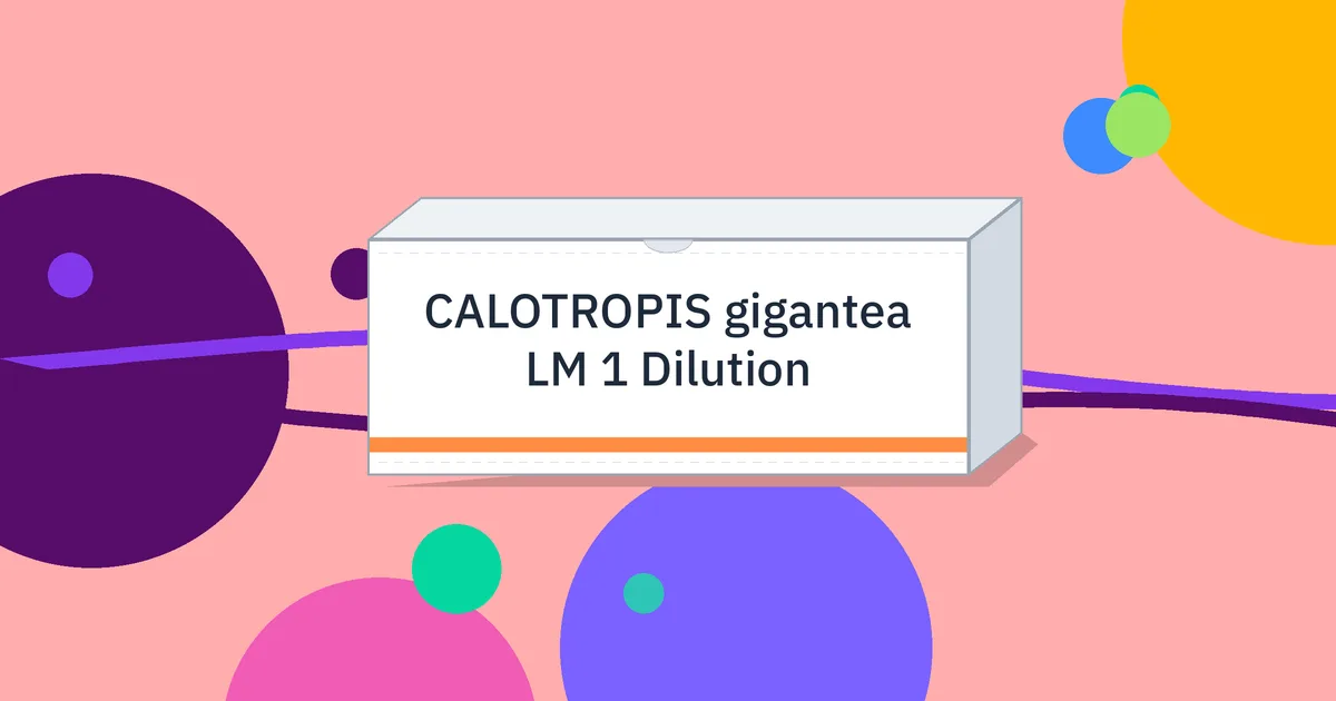 Symbolbild: Packung mit der Aufschrift CALOTROPIS gigantea LM 1 Dilution (PZN 13411012) – Verfügbarkeit und Bezug in Apotheken in Frankfurt am Main
