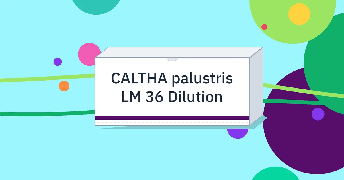 Symbolbild: Packung mit der Aufschrift CALTHA palustris LM 36 Dilution (PZN 13411822) – Verfügbarkeit und Bezug in Apotheken in Frankfurt am Main