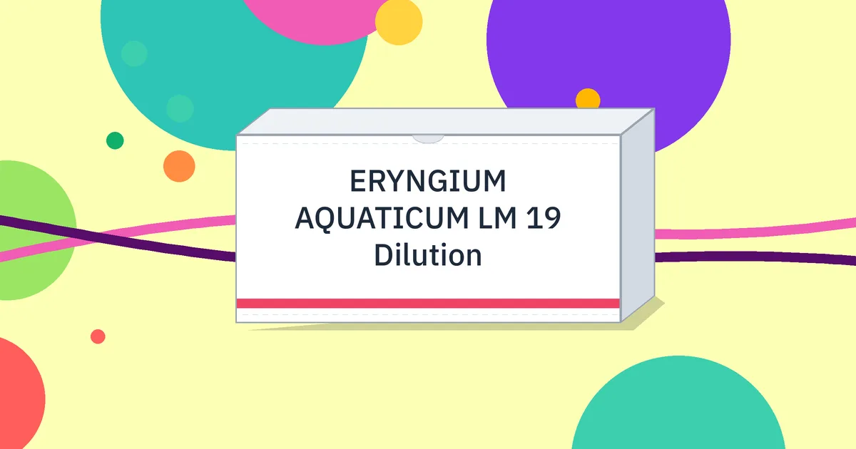 Symbolbild: Packung mit der Aufschrift ERYNGIUM AQUATICUM LM 19 Dilution (PZN 13478648) – Verfügbarkeit und Bezug in Apotheken in Frankfurt am Main