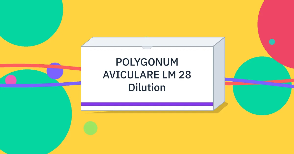 Symbolbild: Packung mit der Aufschrift POLYGONUM AVICULARE LM 28 Dilution (PZN 13662145) – Verfügbarkeit und Bezug in Apotheken in Frankfurt am Main