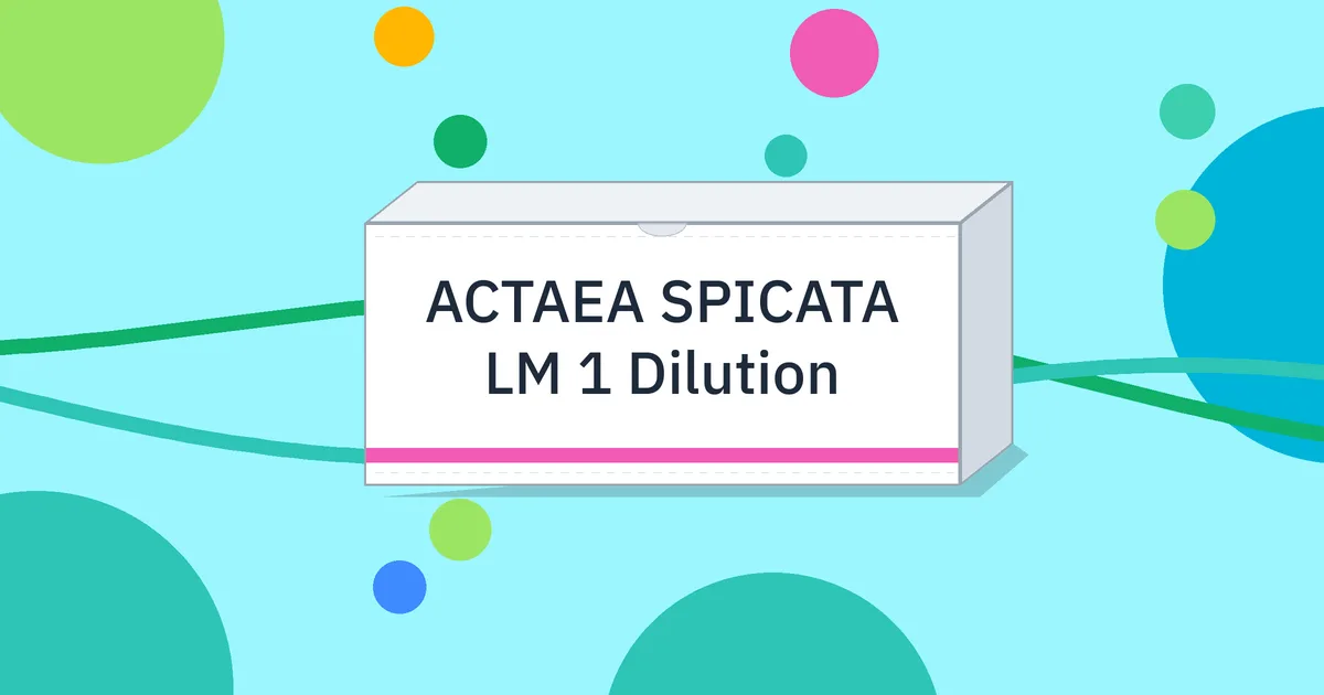 Symbolbild: Packung mit der Aufschrift ACTAEA SPICATA LM 1 Dilution (PZN 13293251) – Verfügbarkeit und Bezug in Apotheken in Frankfurt am Main