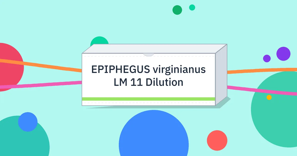 Symbolbild: Packung mit der Aufschrift EPIPHEGUS virginianus LM 11 Dilution (PZN 13472545) – Verfügbarkeit und Bezug in Apotheken in Frankfurt am Main