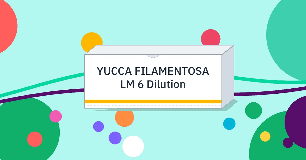 Symbolbild: Packung mit der Aufschrift YUCCA FILAMENTOSA LM 6 Dilution (PZN 13288592) – Verfügbarkeit und Bezug in Apotheken in Frankfurt am Main
