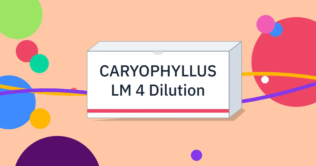 Symbolbild: Packung mit der Aufschrift CARYOPHYLLUS LM 4 Dilution (PZN 13431859) – Verfügbarkeit und Bezug in Apotheken in Frankfurt am Main