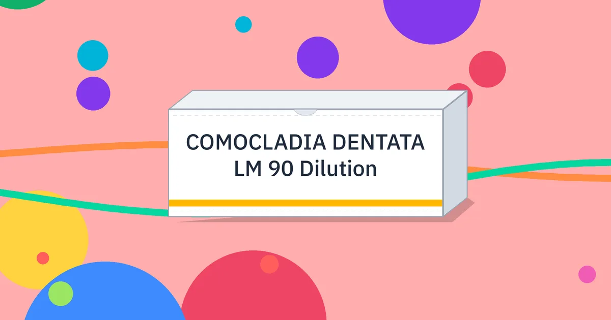 Symbolbild: Packung mit der Aufschrift COMOCLADIA DENTATA LM 90 Dilution (PZN 13449500) – Verfügbarkeit und Bezug in Apotheken in Frankfurt am Main