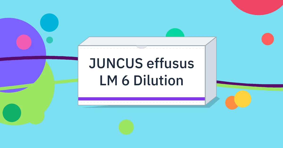 Symbolbild: Packung mit der Aufschrift JUNCUS effusus LM 6 Dilution (PZN 13564098) – Verfügbarkeit und Bezug in Apotheken in Frankfurt am Main